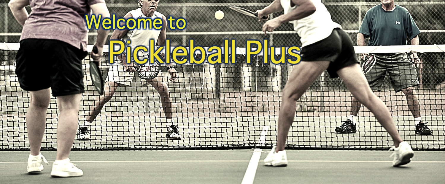 Pickleball Plus – PICKLEBALL paddles and balls PLUS all your other ...